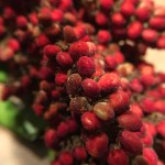 sumac-ade – kitchentrails