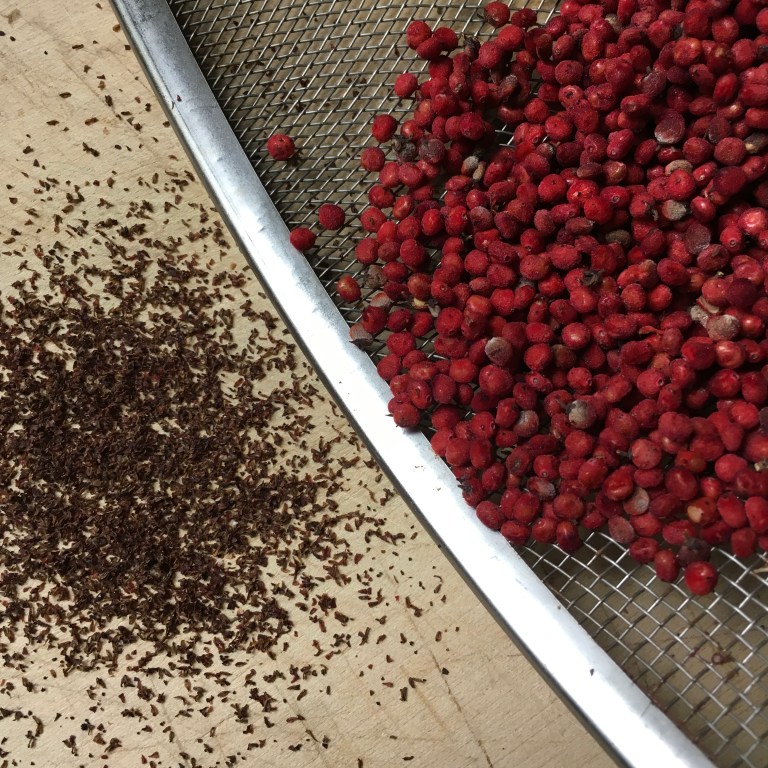 sumac-ade – kitchentrails