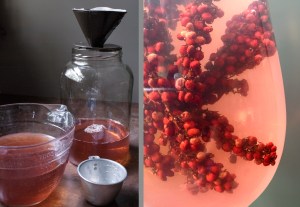 When Life Gives You Sumac … – kitchentrails